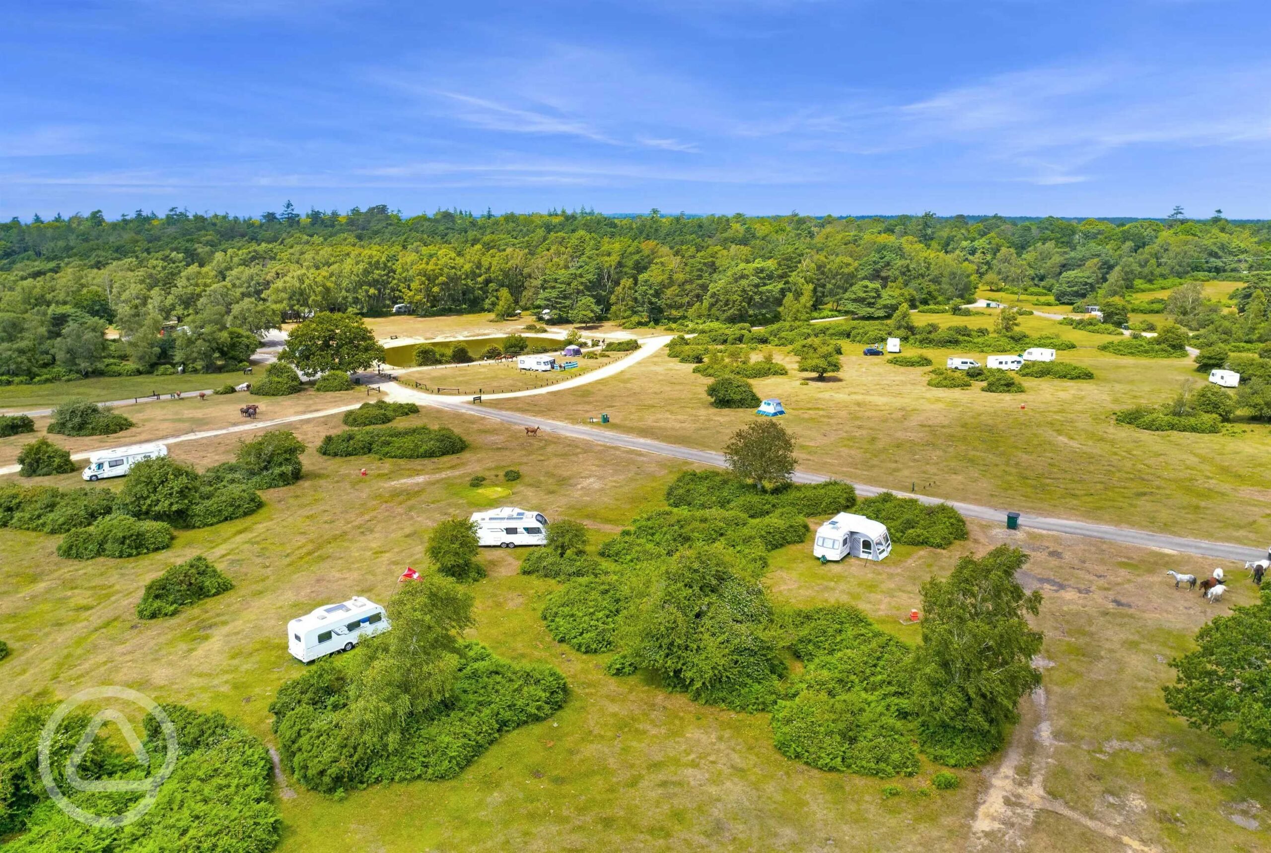 Glamping in the New Forest | Camping In the New Forest