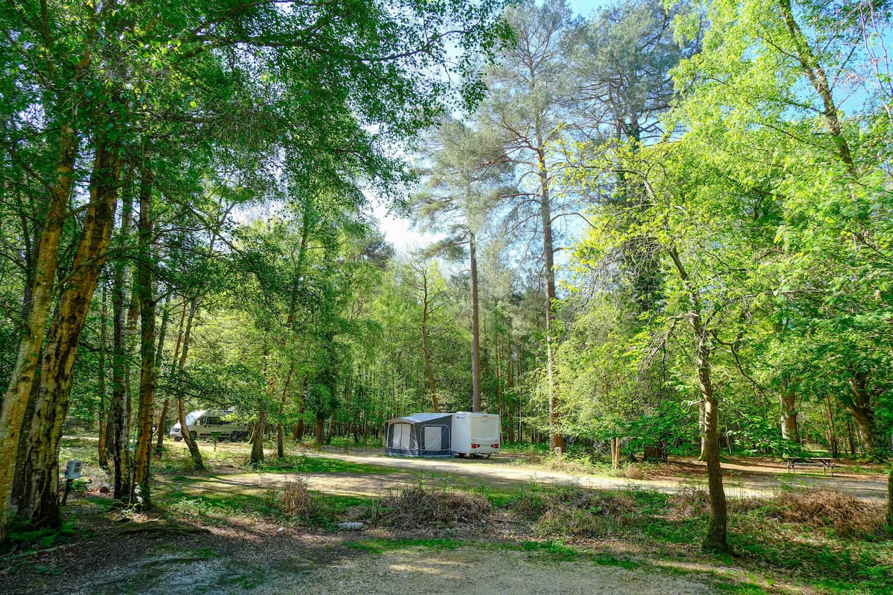 Camping in the New Forest - Relax, Restore, Rediscover