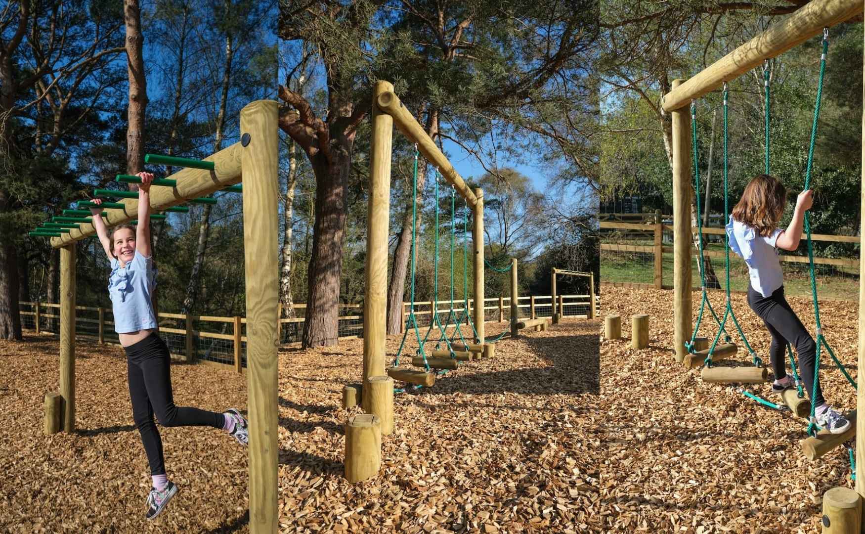Holmsley Campsite - Camping in the New Forest