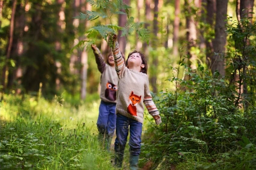 Nature's Playground: Why Kids Love The Great Outdoors