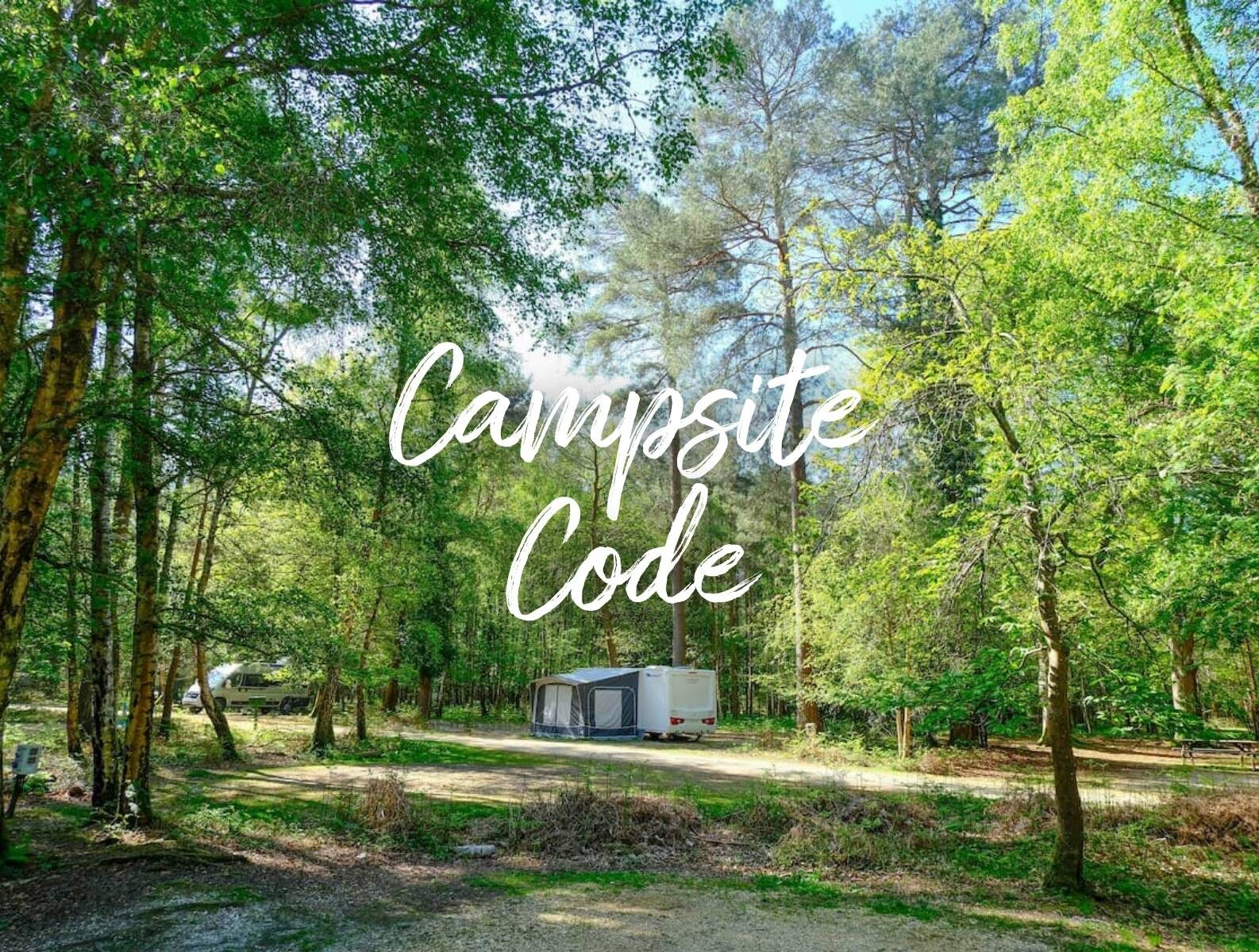 The New Forest Campsite Code - Camping in the New Forest