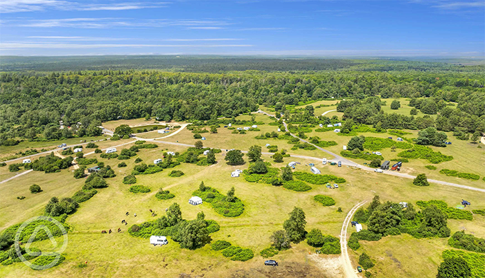 Glamping in the New Forest | Camping In the New Forest