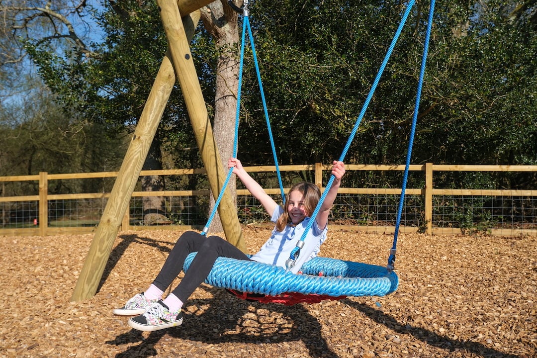 Holmsley Campsite - Camping in the New Forest