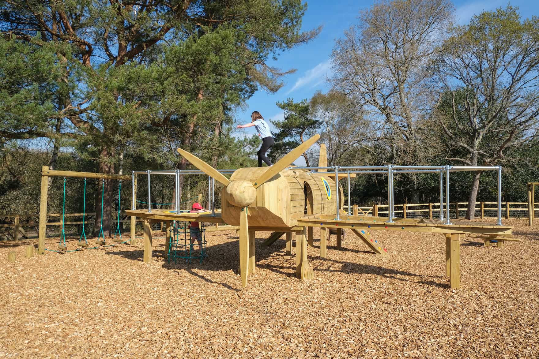 Holmsley Campsite - Camping in the New Forest