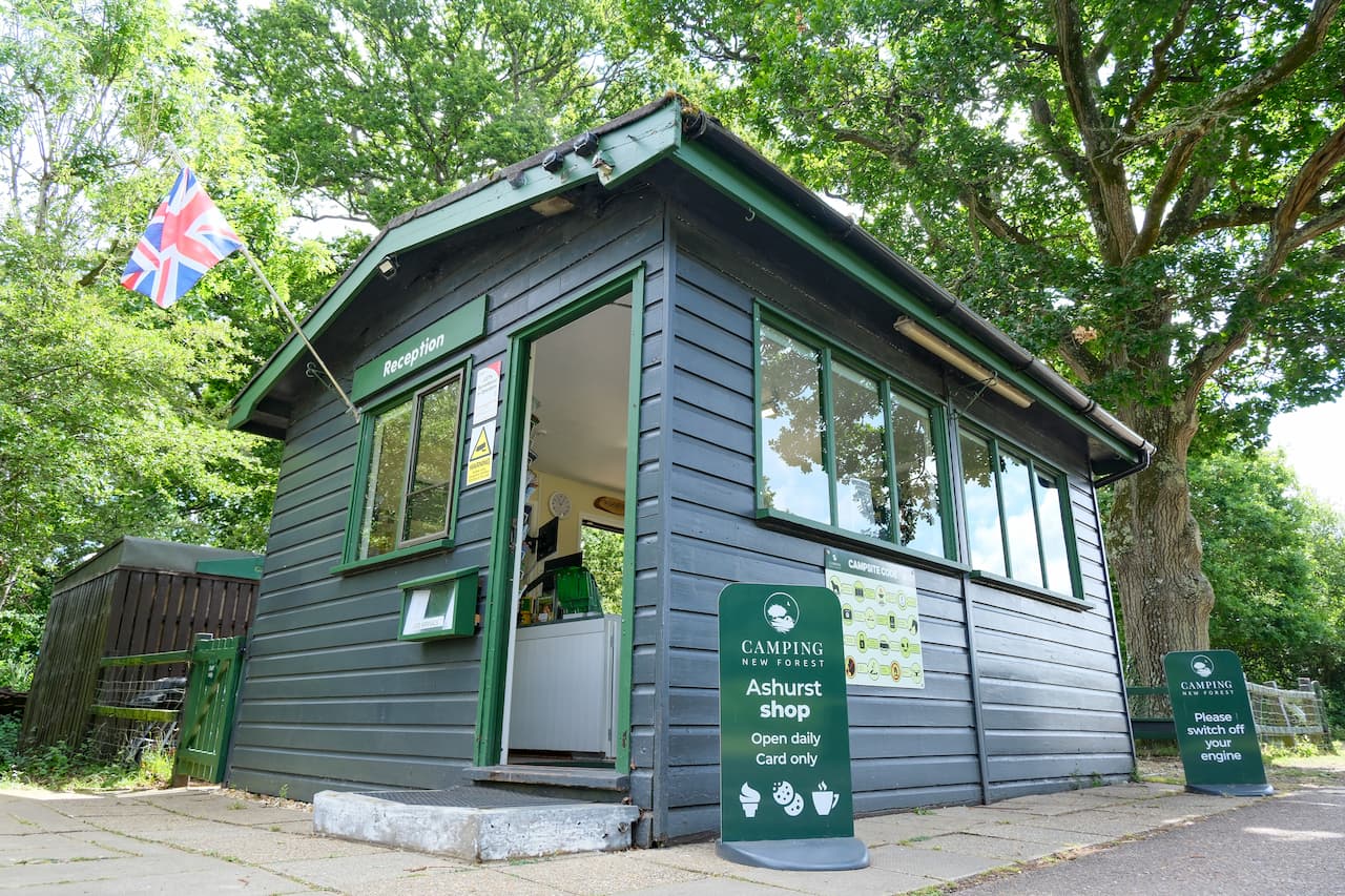 Ashurst Campsite - Camping in the New Forest