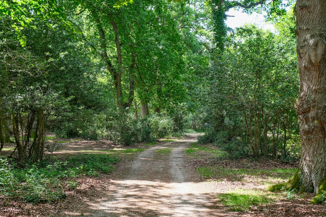Ashurst Campsite - Camping in the New Forest