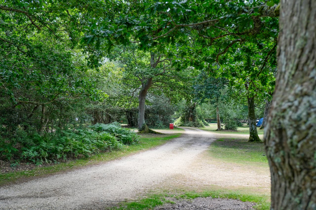 Ashurst Campsite - Camping in the New Forest
