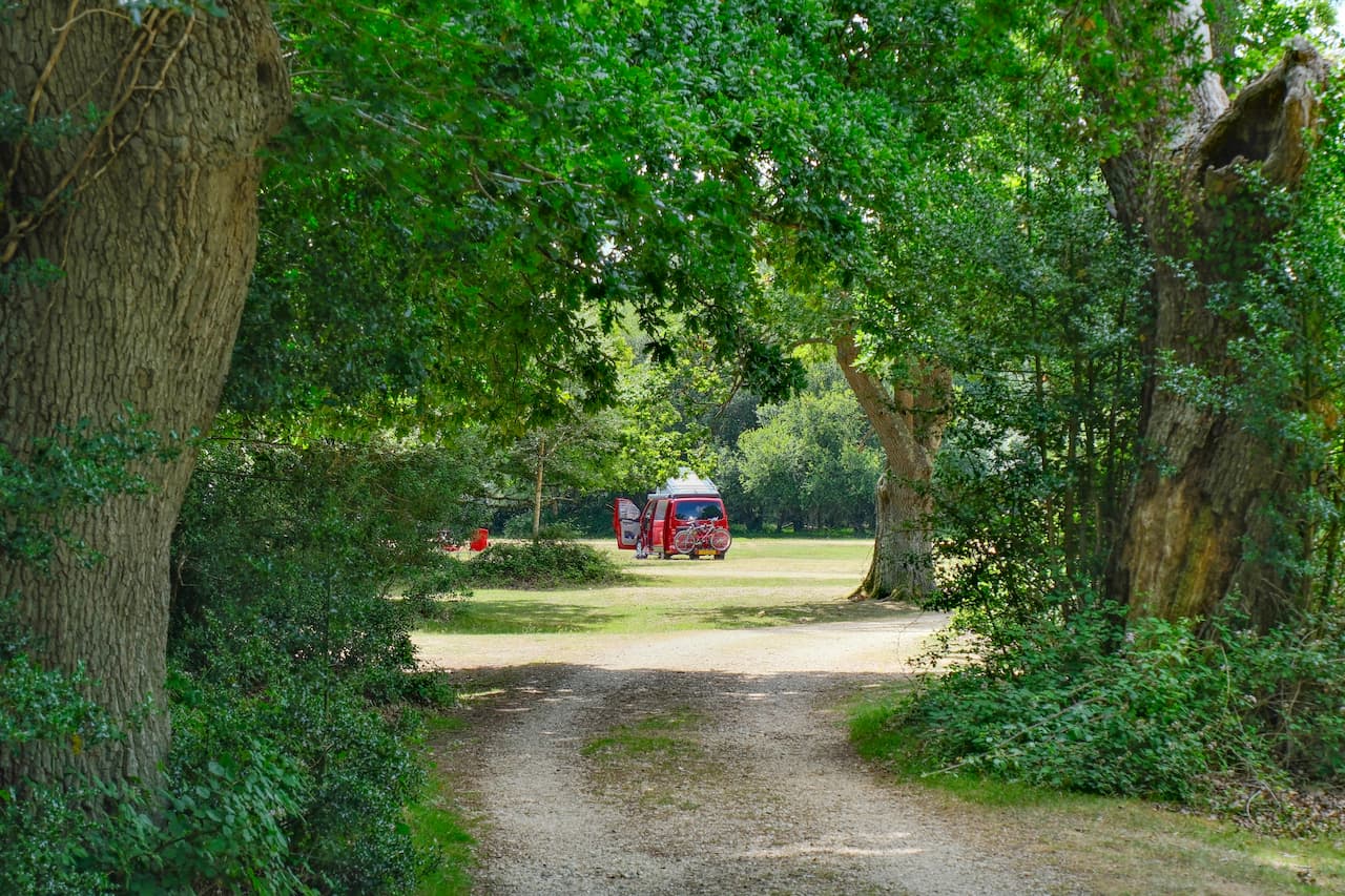 Ashurst Campsite - Camping in the New Forest