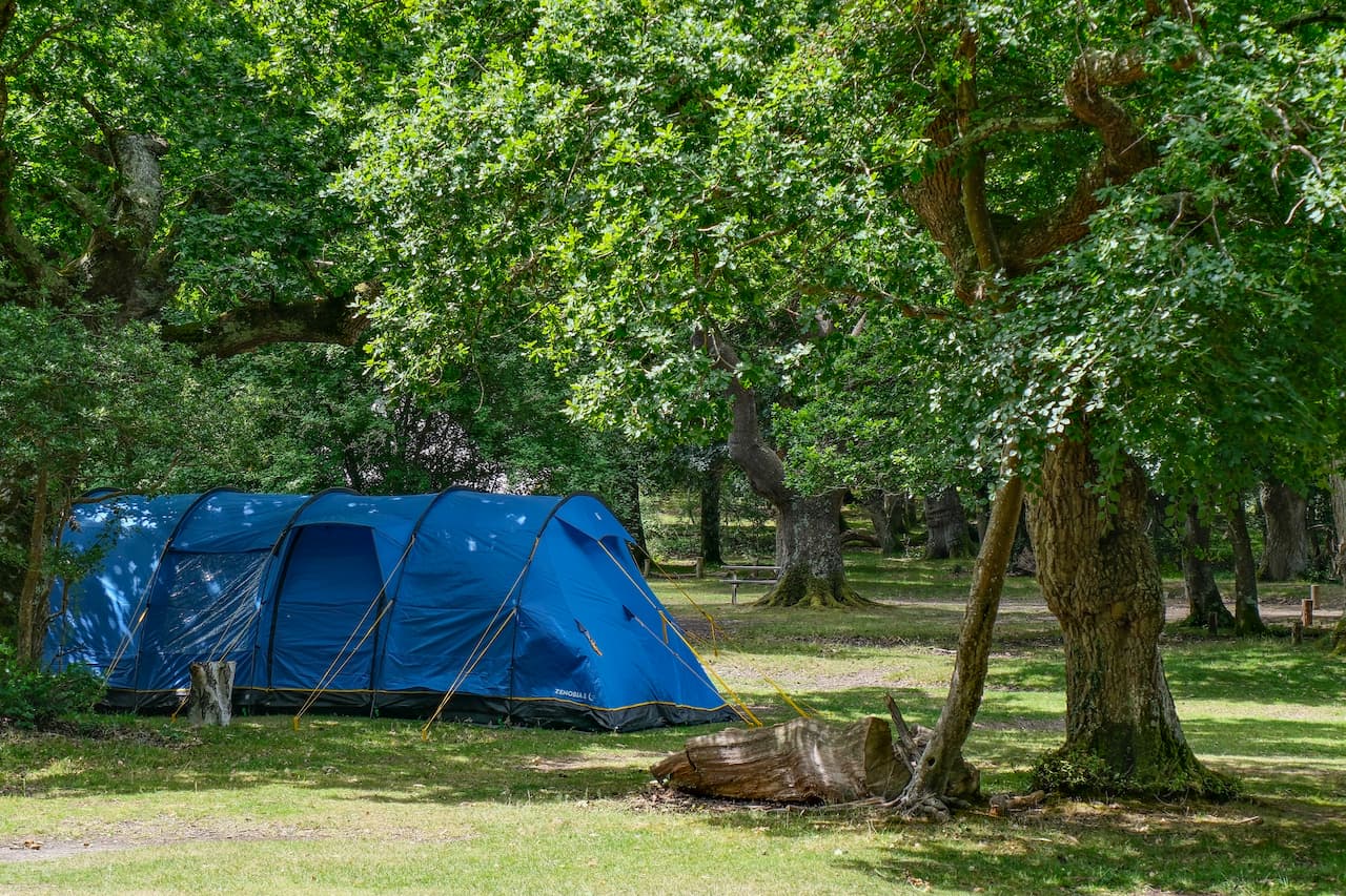 Ashurst Campsite - Camping in the New Forest