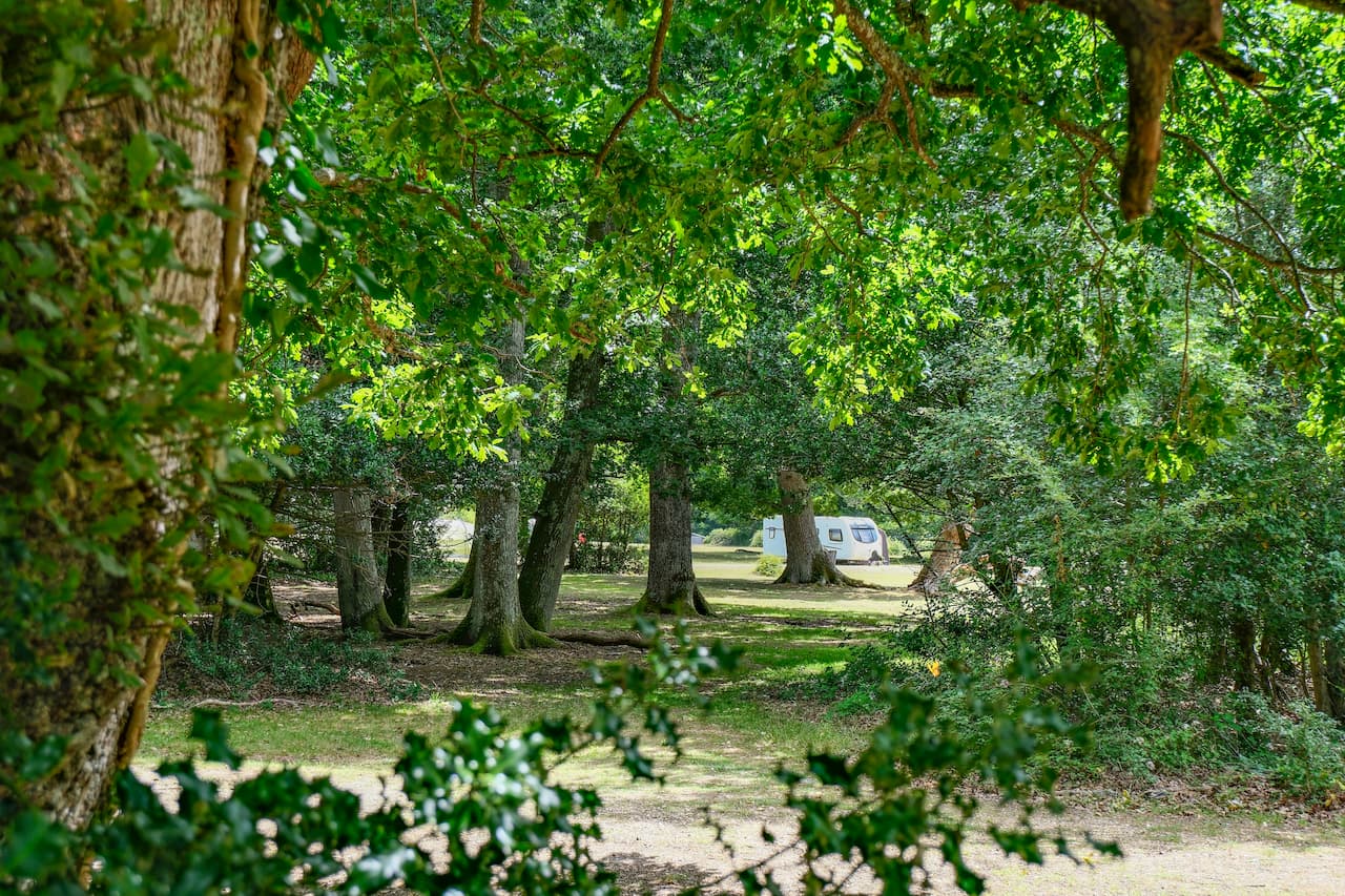 Ashurst Campsite - Camping in the New Forest