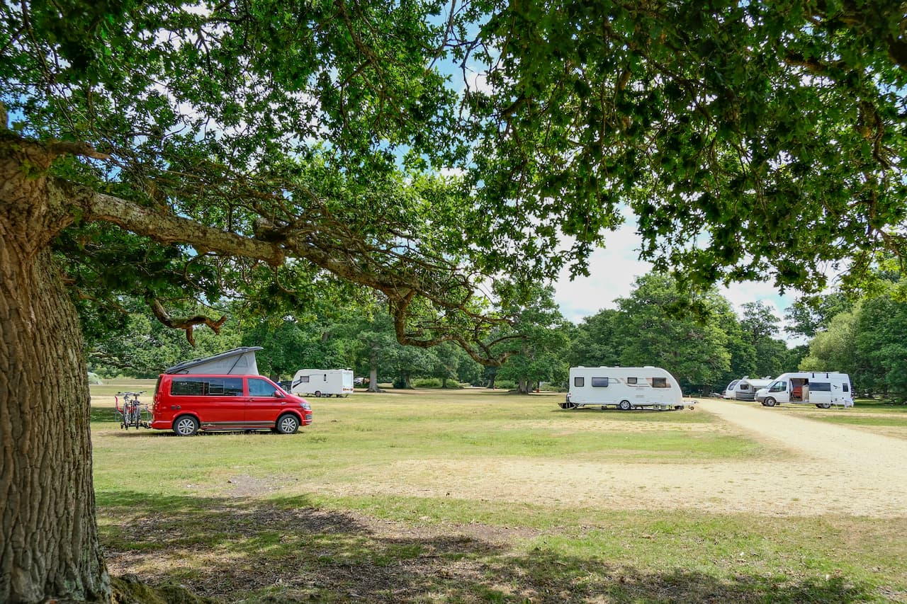 Ashurst Campsite - Camping in the New Forest