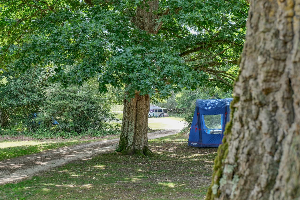 Ashurst Campsite - Camping in the New Forest