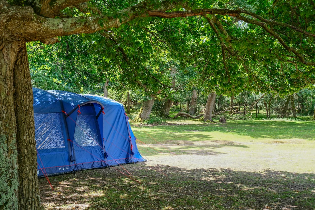 Ashurst Campsite - Camping in the New Forest