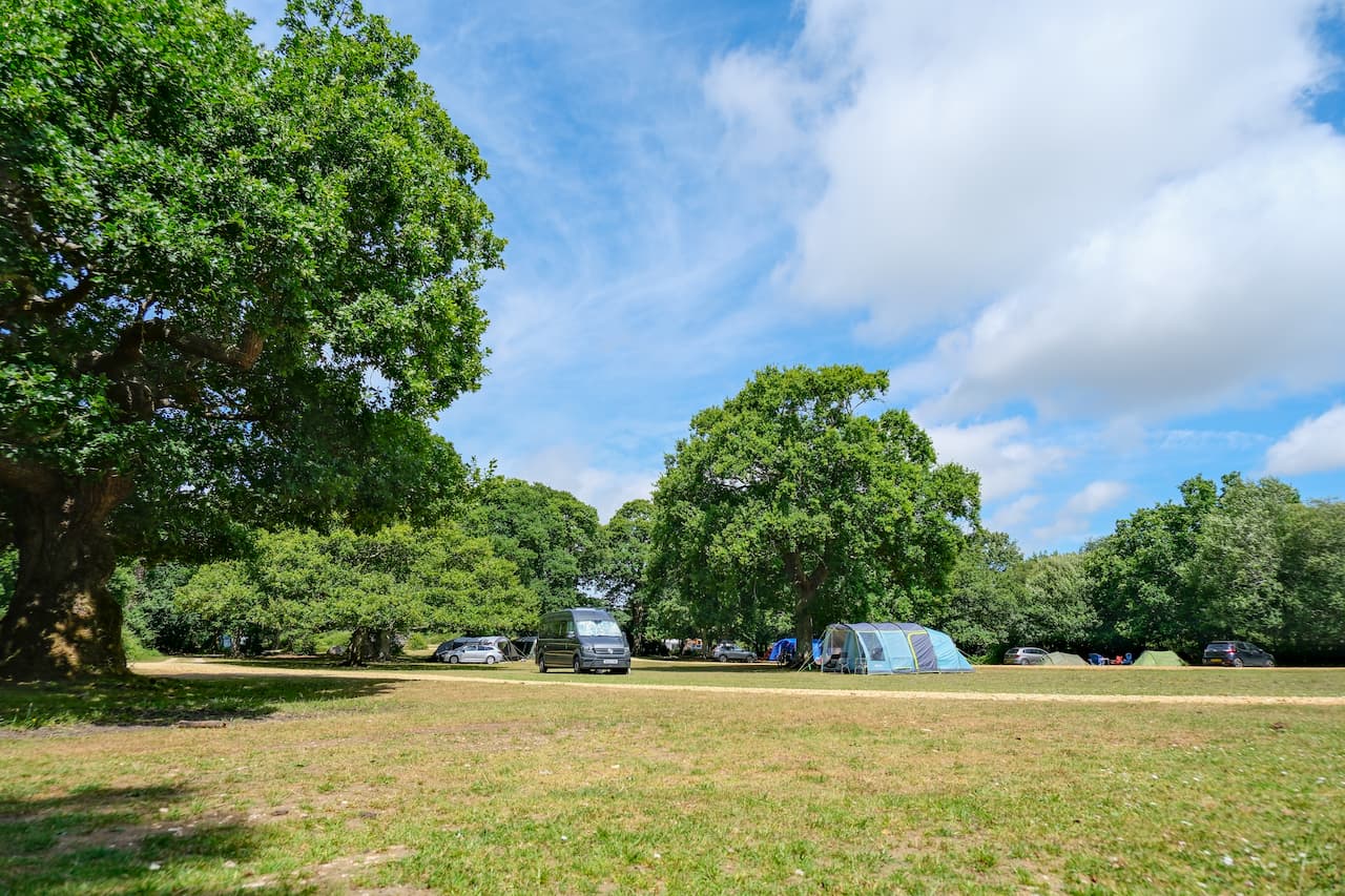 Ashurst Campsite - Camping in the New Forest