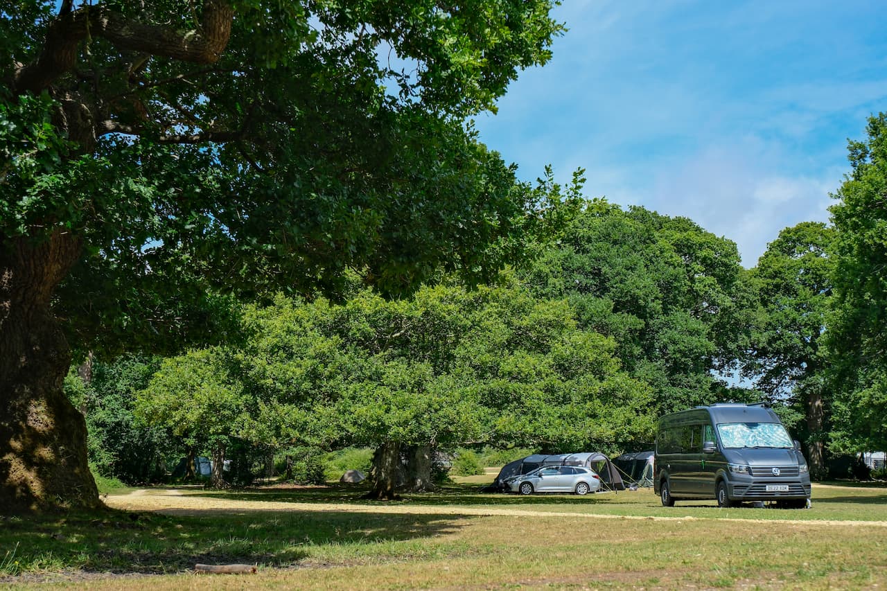 Ashurst Campsite - Camping in the New Forest