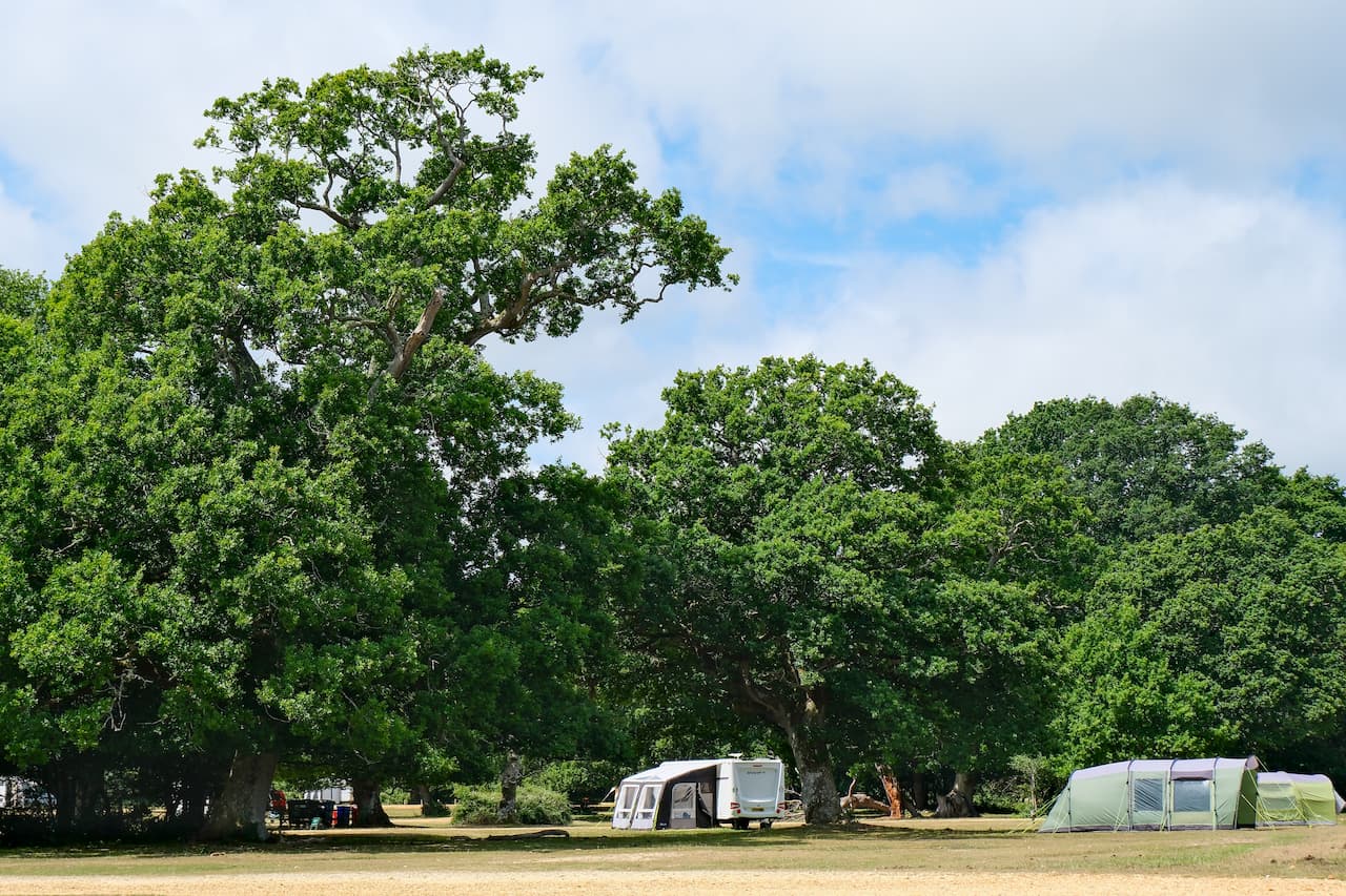 Ashurst Campsite - Camping in the New Forest