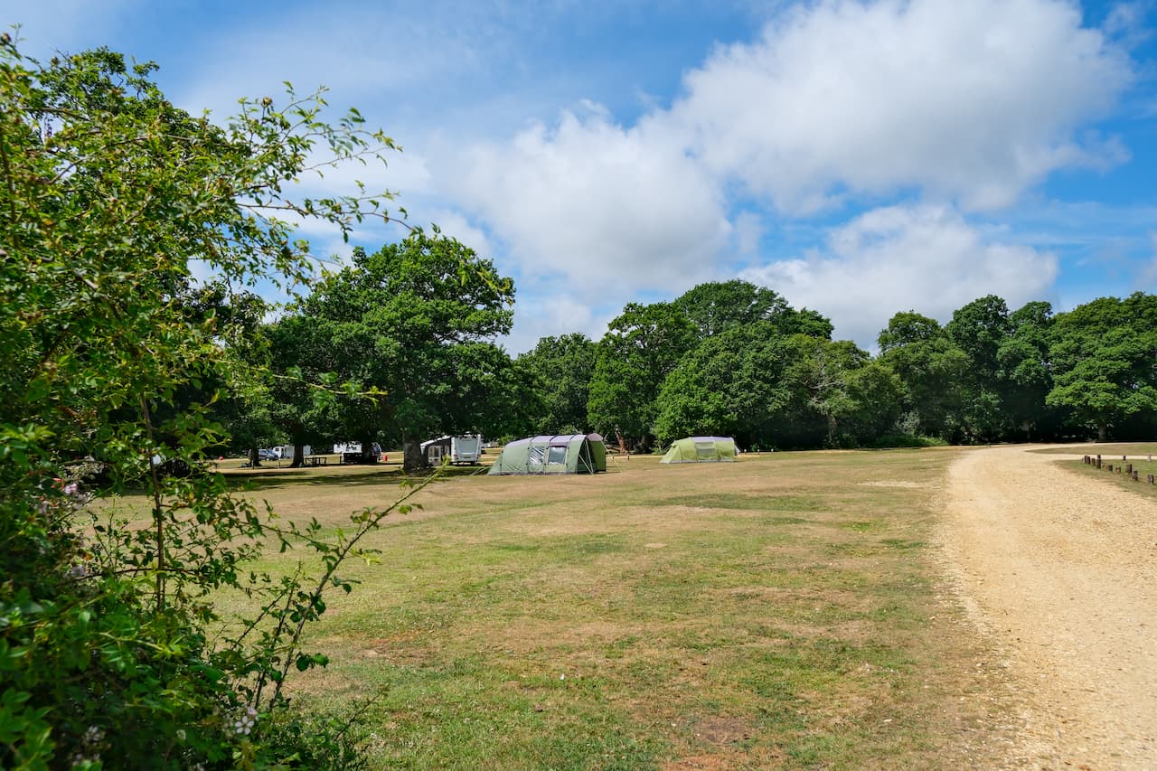 Ashurst Campsite - Camping in the New Forest