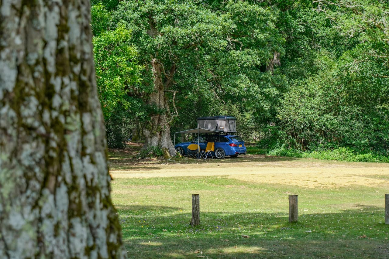 Ashurst Campsite - Camping in the New Forest