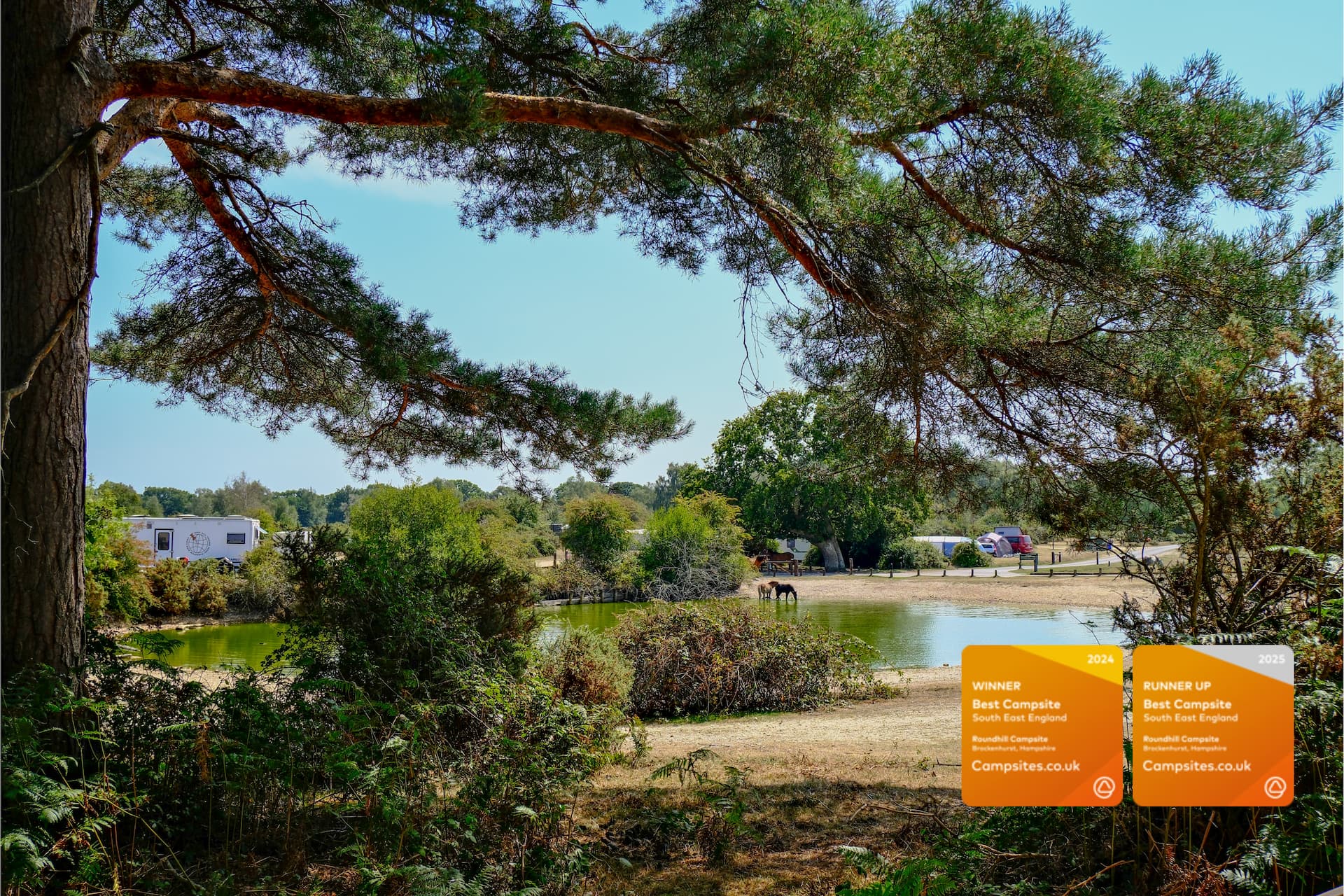 Roundhill Campsite - Camping in the New Forest