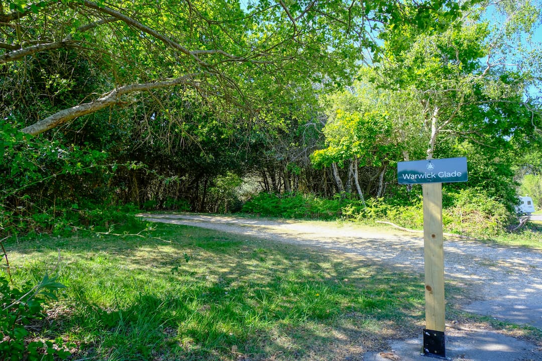 Holmsley Campsite - Camping in the New Forest