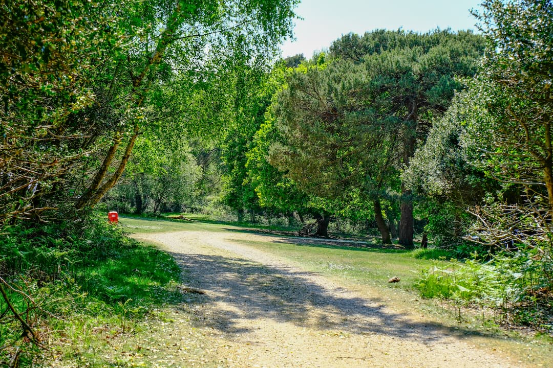 Holmsley Campsite - Camping in the New Forest