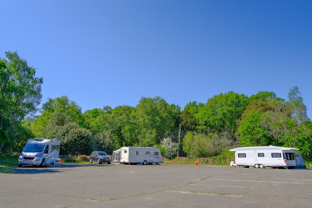 Holmsley Campsite - Camping in the New Forest