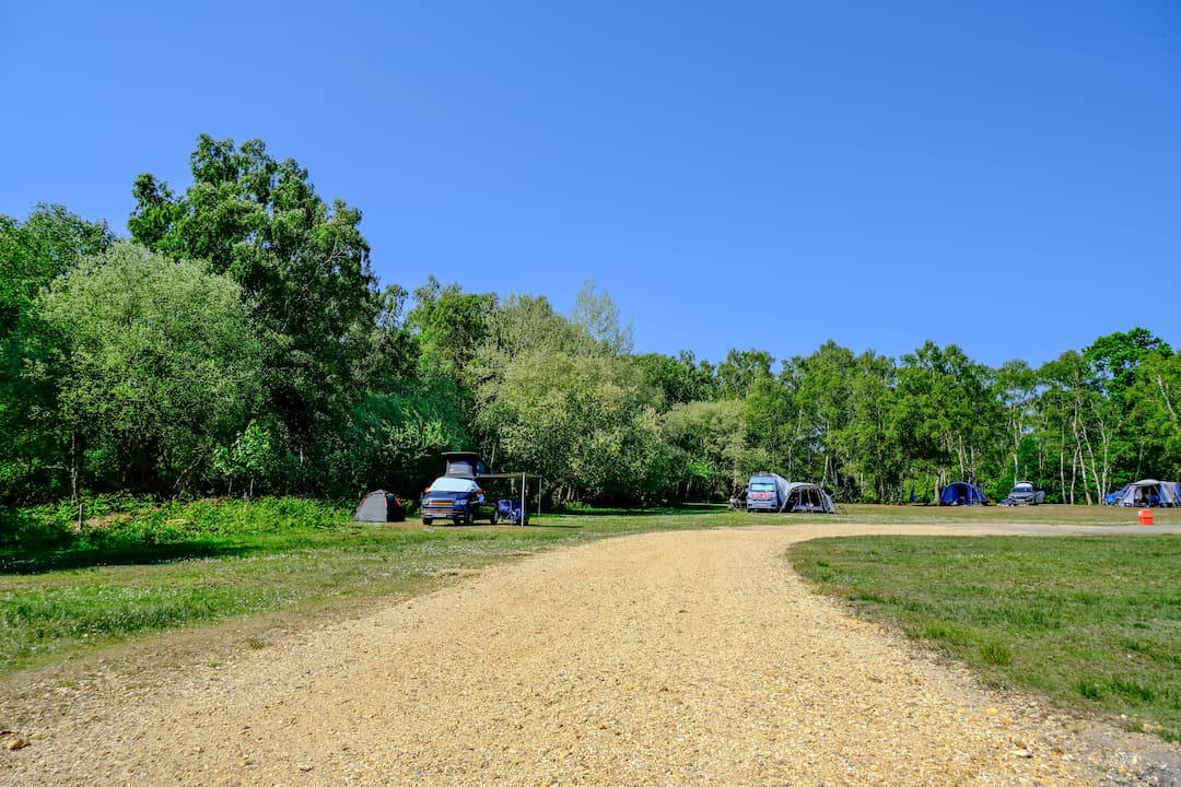 Holmsley Campsite - Camping in the New Forest