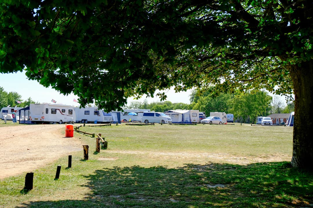 Holmsley Campsite - Camping in the New Forest