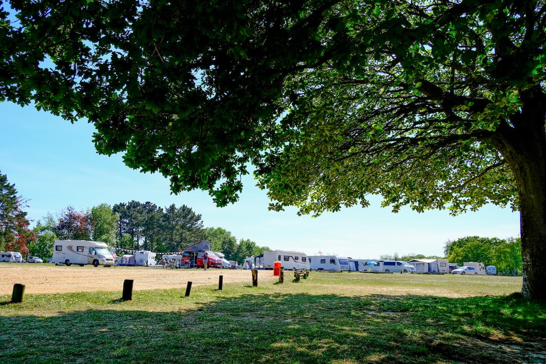 Holmsley Campsite - Camping in the New Forest