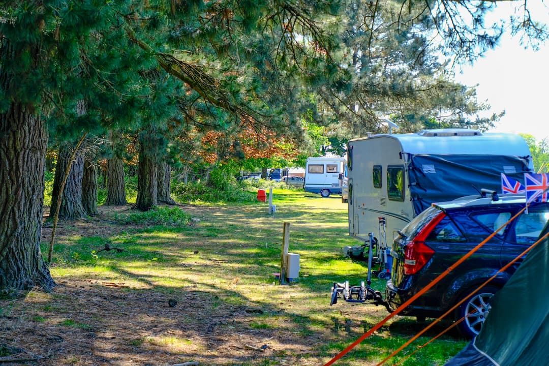 Holmsley Campsite - Camping in the New Forest
