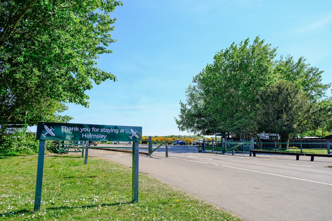 Holmsley Campsite - Camping in the New Forest