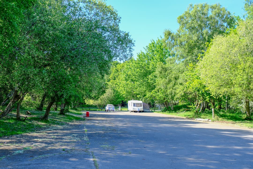 Holmsley Campsite - Camping in the New Forest