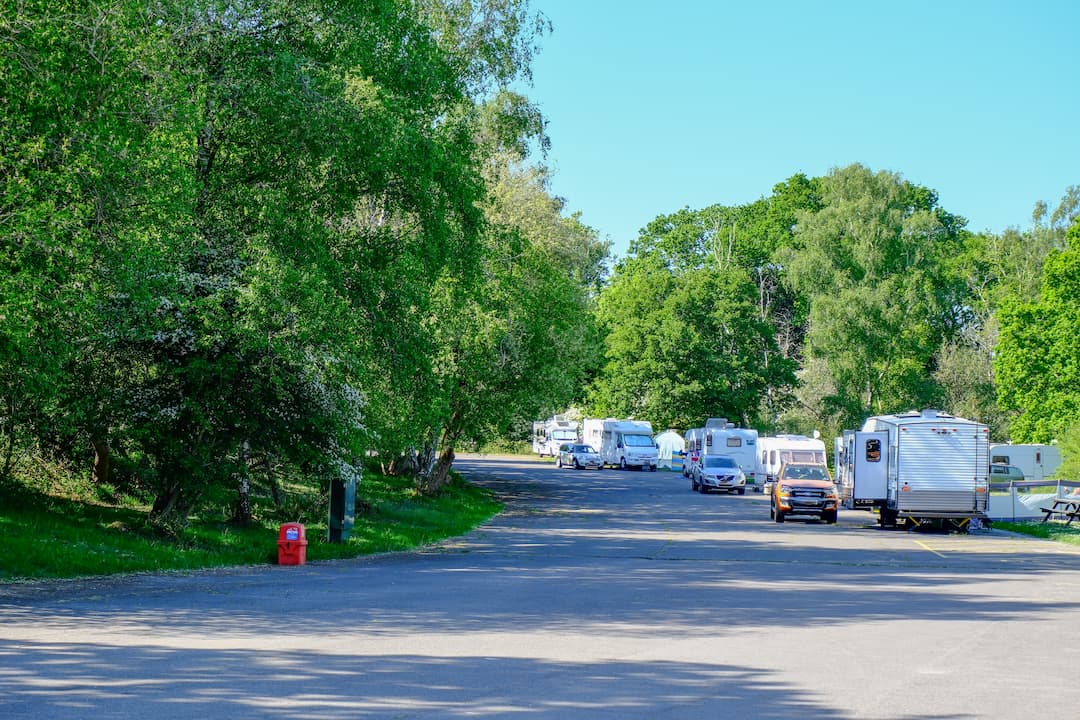 Holmsley Campsite - Camping in the New Forest