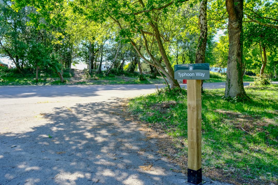 Holmsley Campsite - Camping in the New Forest