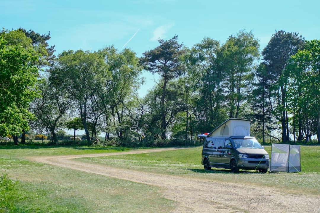 Holmsley Campsite - Camping in the New Forest