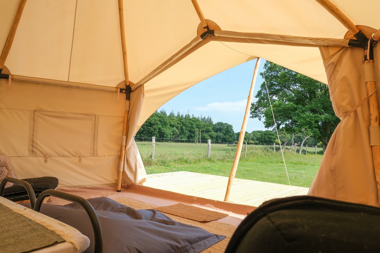 Glamping in the New Forest | Camping In the New Forest