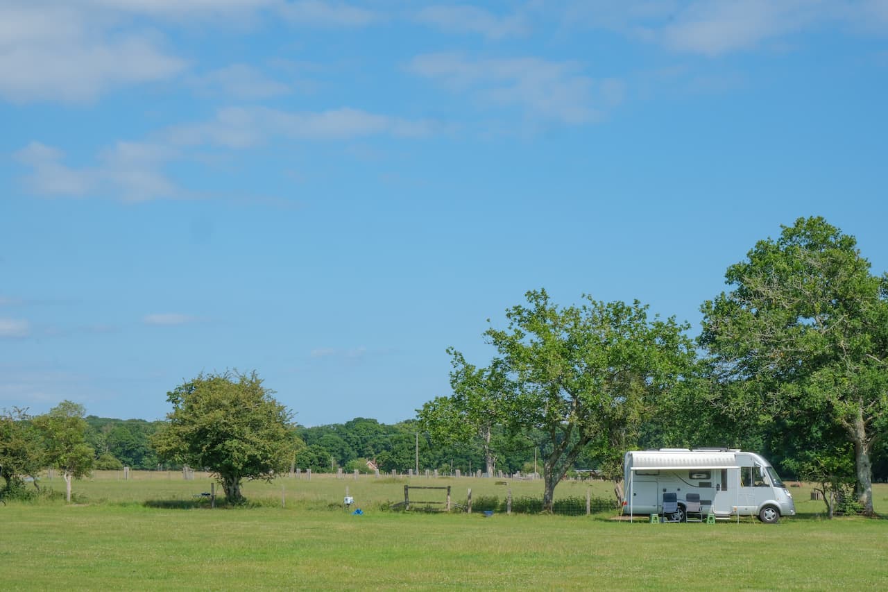 Long Meadow - Camping in the New Forest