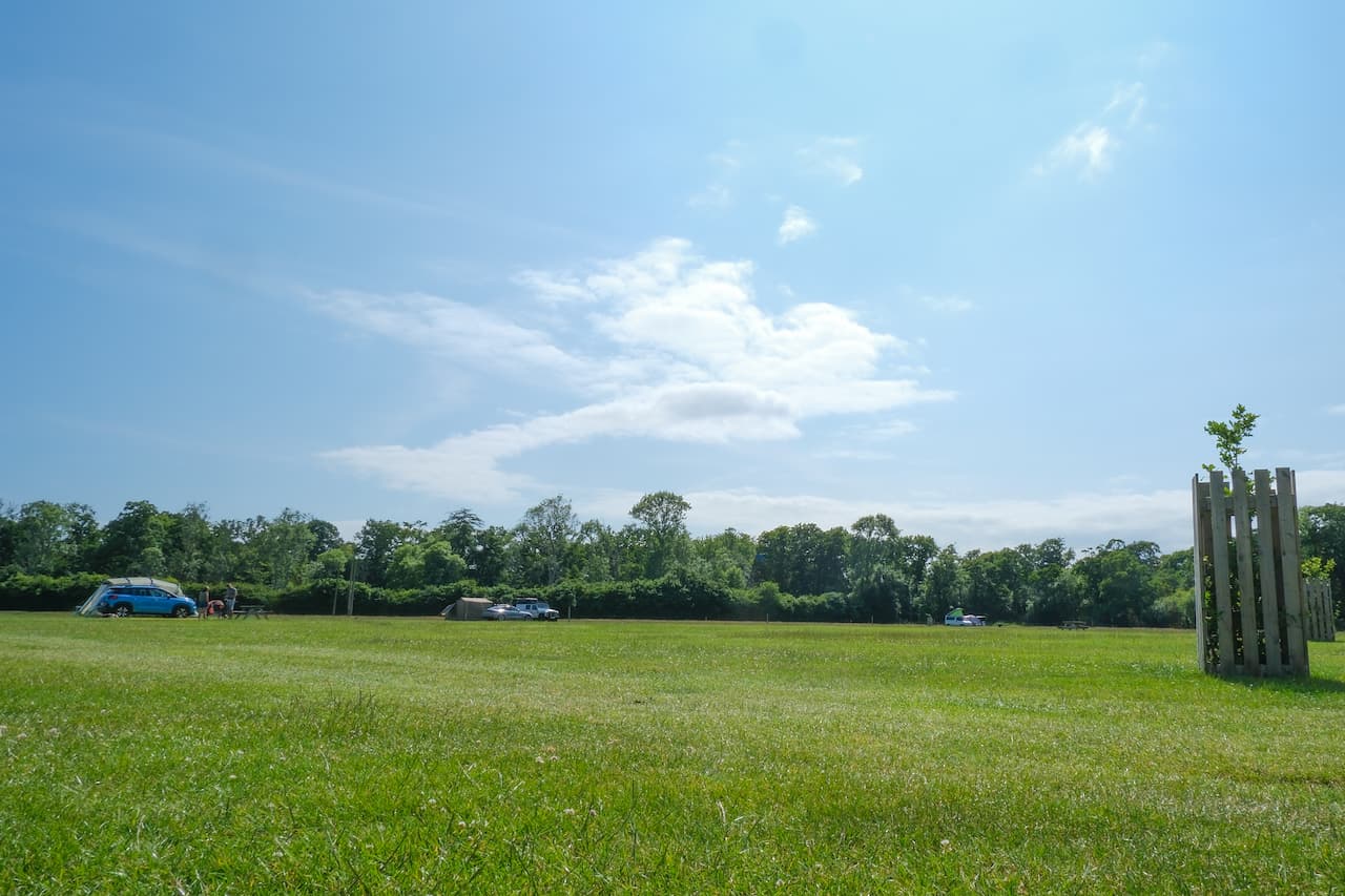 Long Meadow - Camping in the New Forest