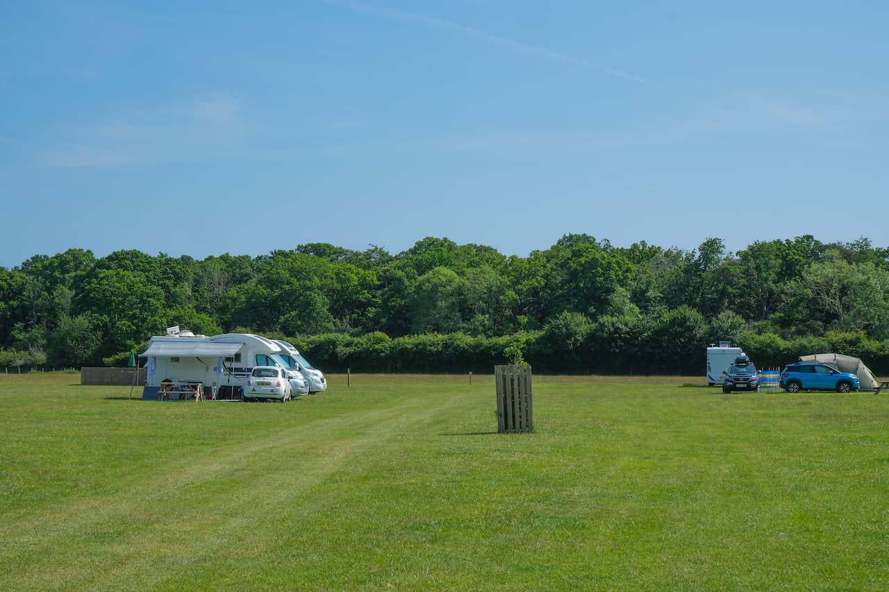 Long Meadow - Camping in the New Forest