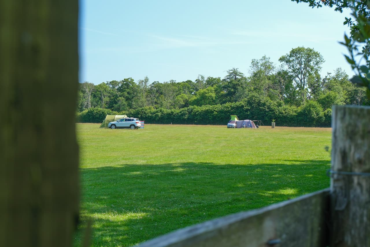 Camping in the New Forest - Relax, Restore, Rediscover