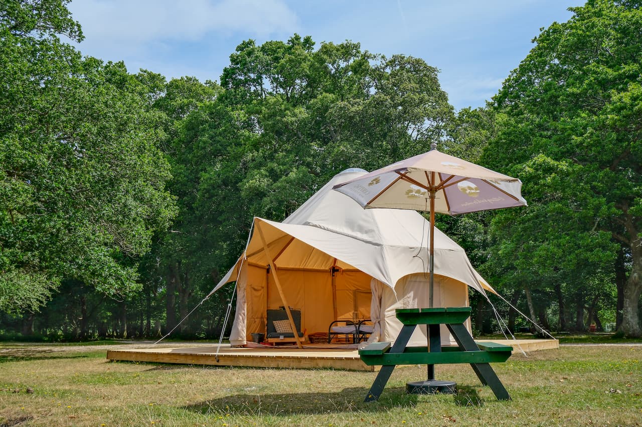 Glamping in the New Forest | Camping In the New Forest