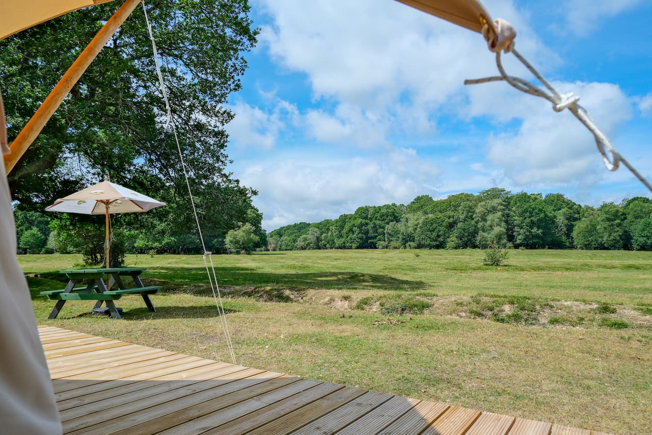 Glamping in the New Forest | Camping In the New Forest