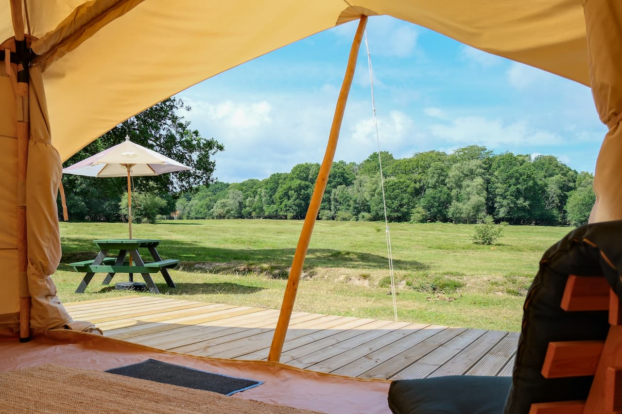 Glamping in the New Forest | Camping In the New Forest