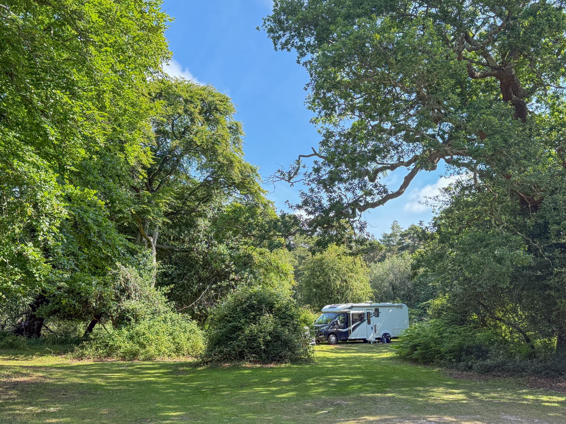Our Campsites - Camping in the New Forest