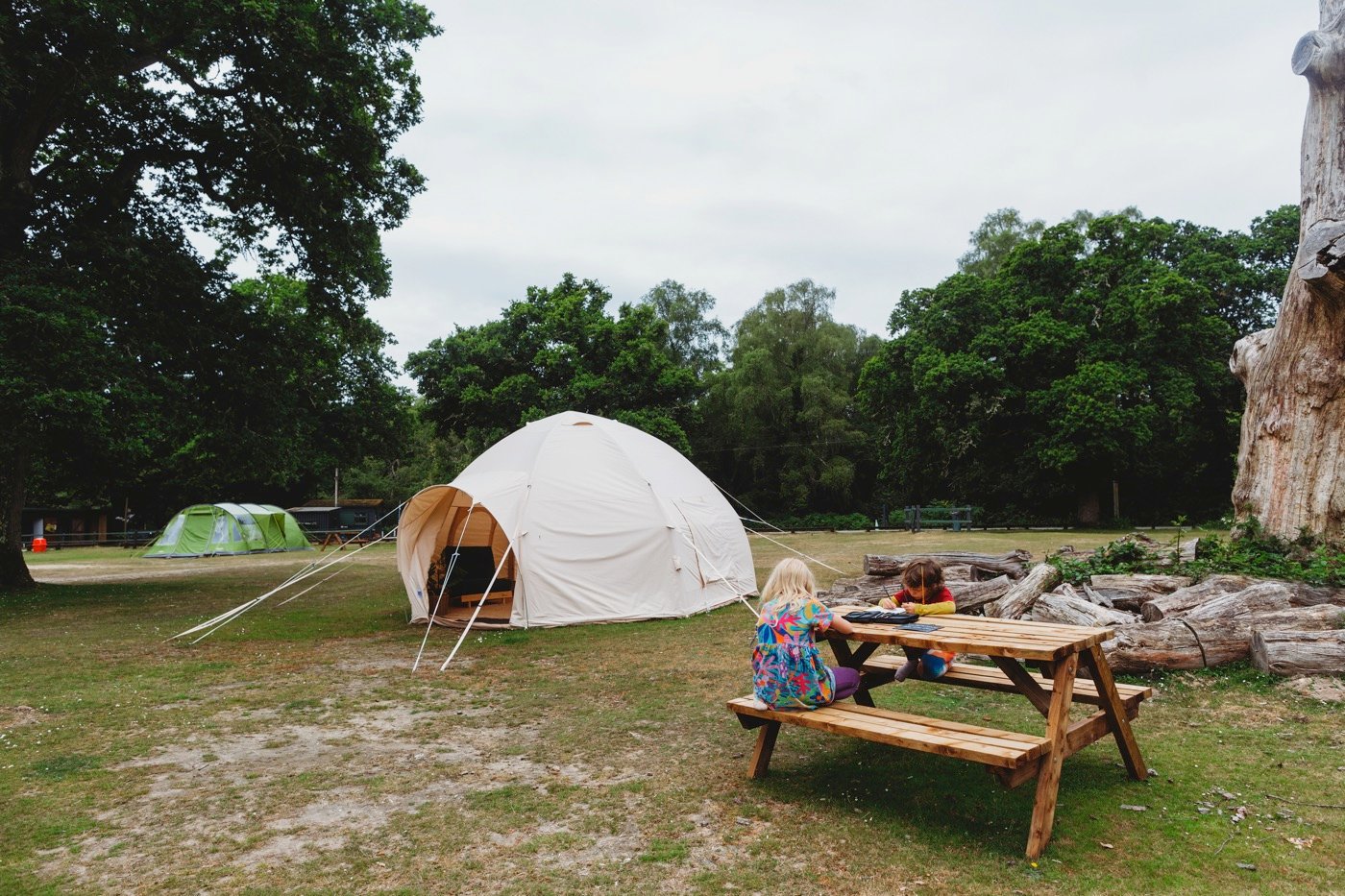 Glamping in the New Forest | Camping In the New Forest