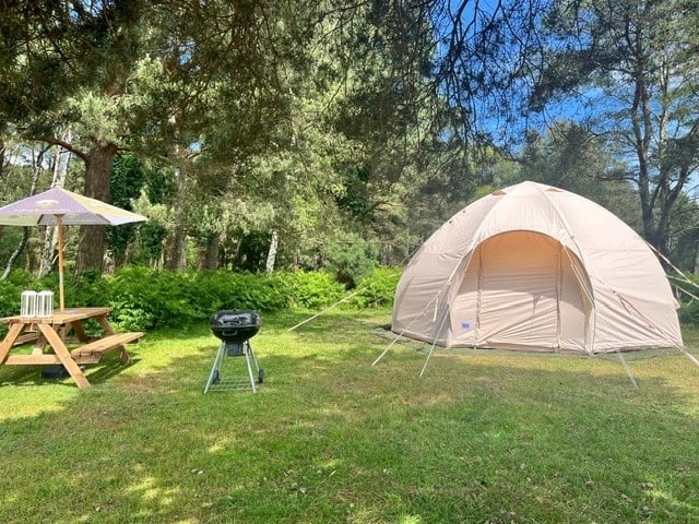 Glamping Bell Tents at Roundhill - Glamping New Forest