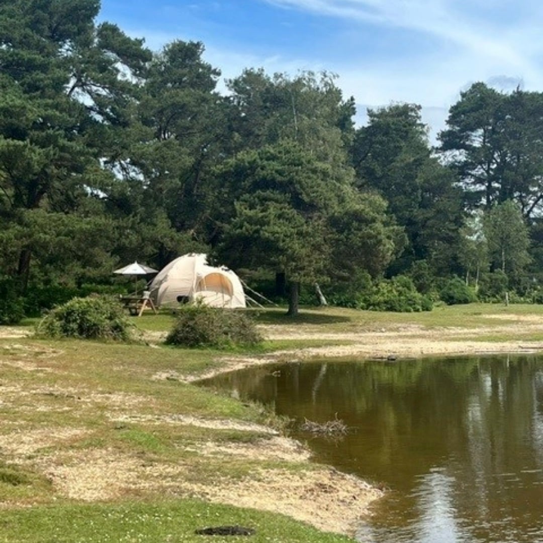 Glamping Bell Tents at Roundhill - Glamping New Forest