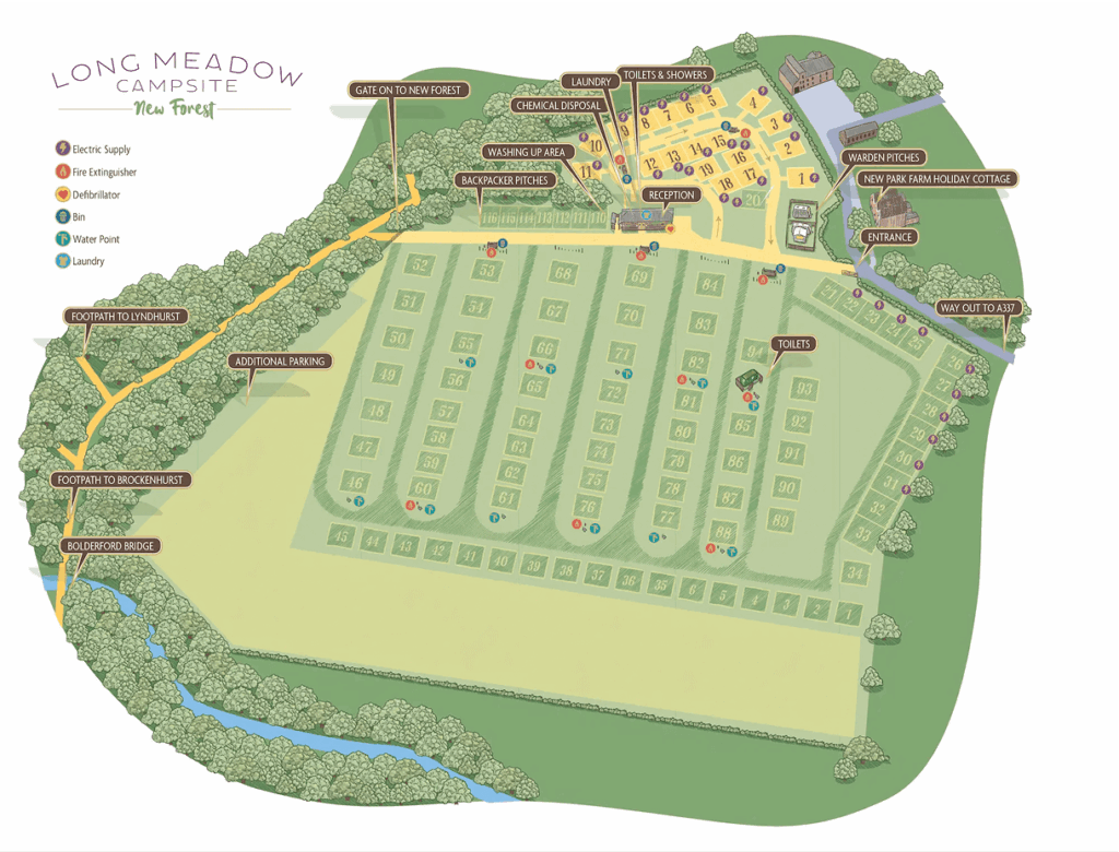 Long Meadow - Camping in the New Forest